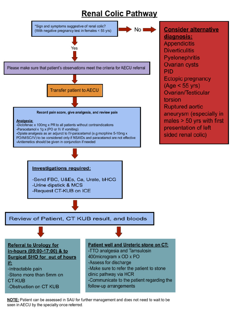 Renal Colic Pathway | PDF