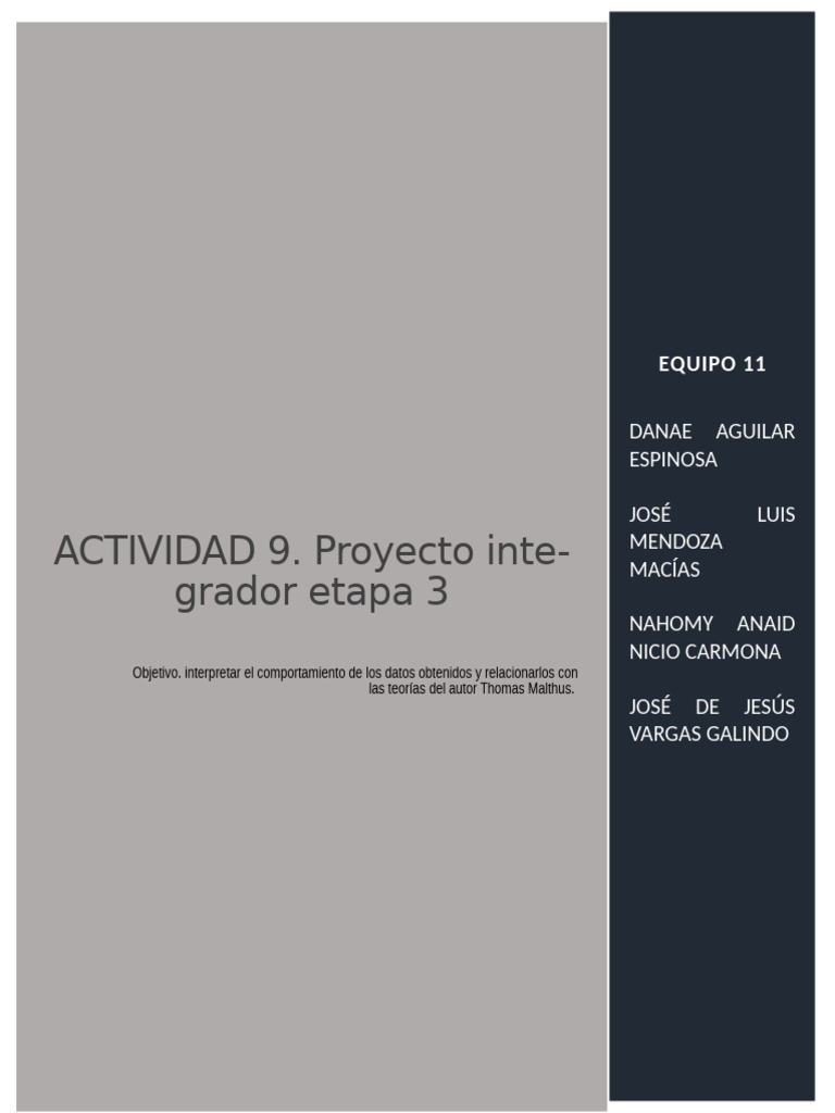Proyecto Integrador Etapa 3 | PDF