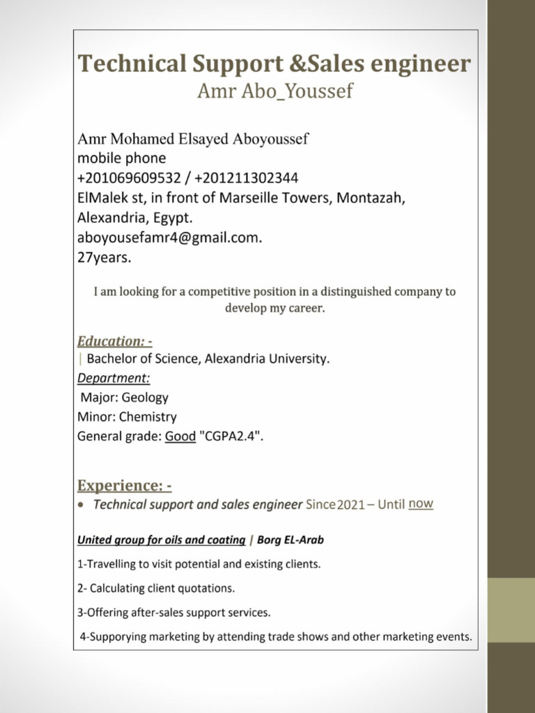 Amr Abo Yousef CV | PDF