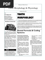 Triadan Tooth Numbering Guide | PDF | Dental Anatomy | Dentistry