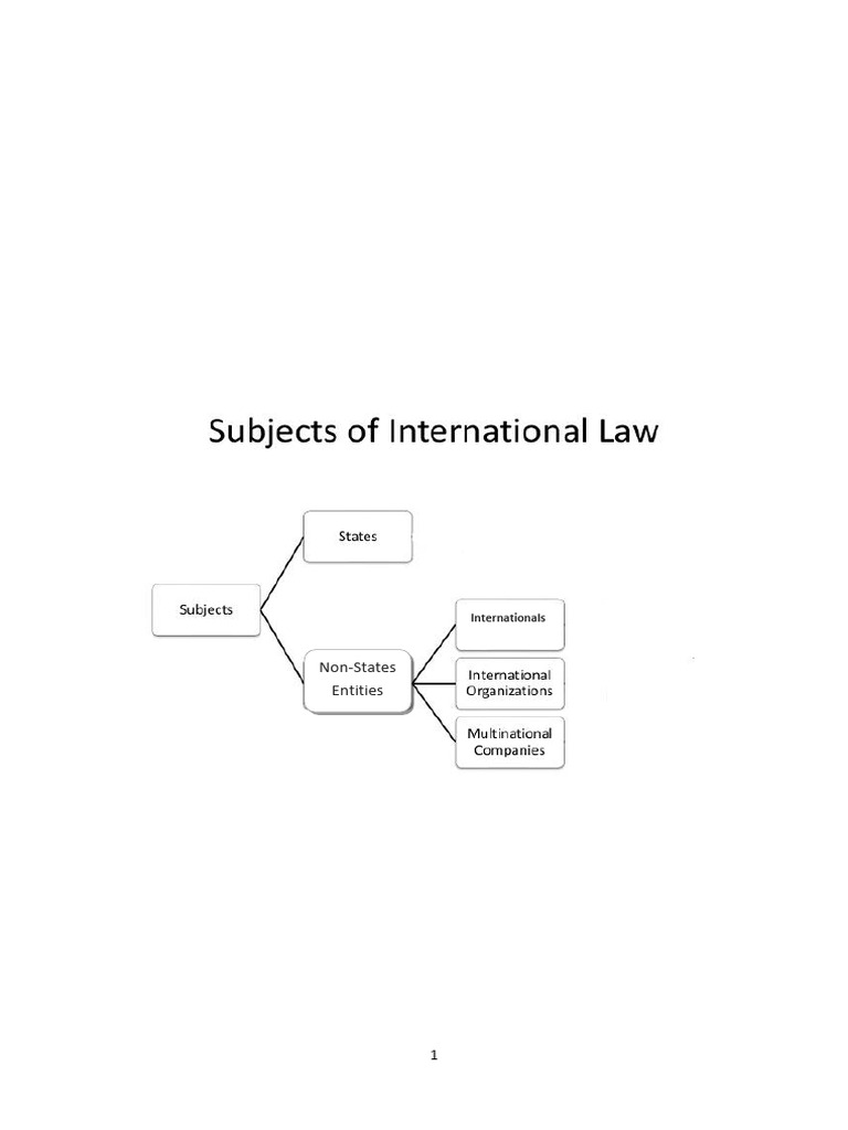 Subjects of international law - States and International organizations ...