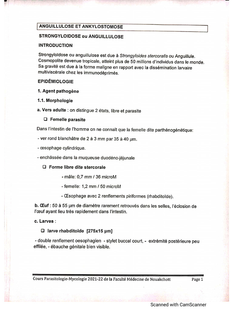Anguillulose Ankylostomose | PDF