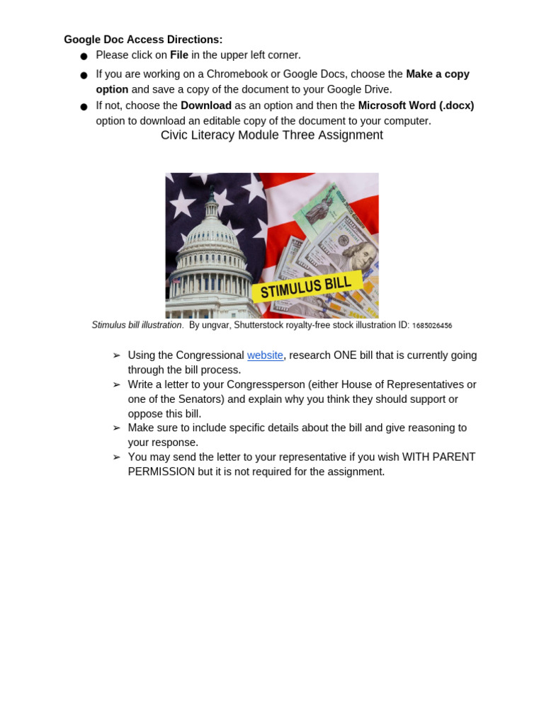 Civic Literacy Module Three Assignment | PDF