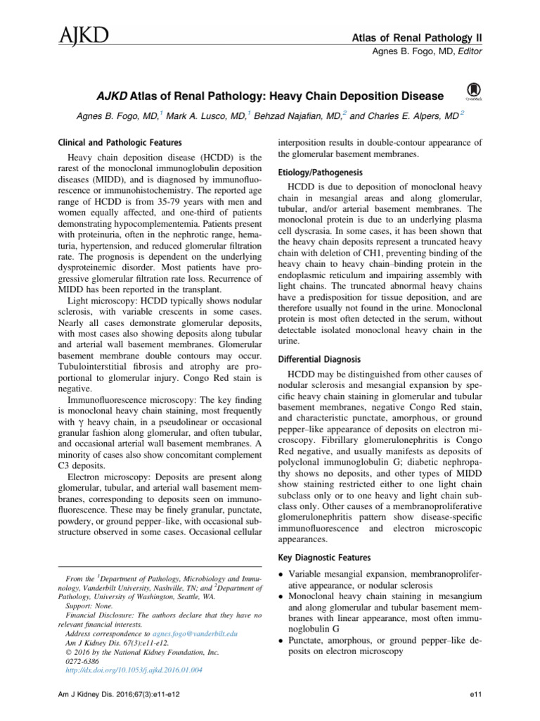 AJKD Atlas of Renal Pathology Heavy Chain Deposition Disease | PDF ...
