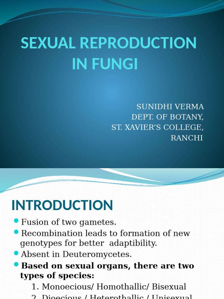 Sexual Reproduction in Fungi-1 | PDF | Spore | Sexual Reproduction