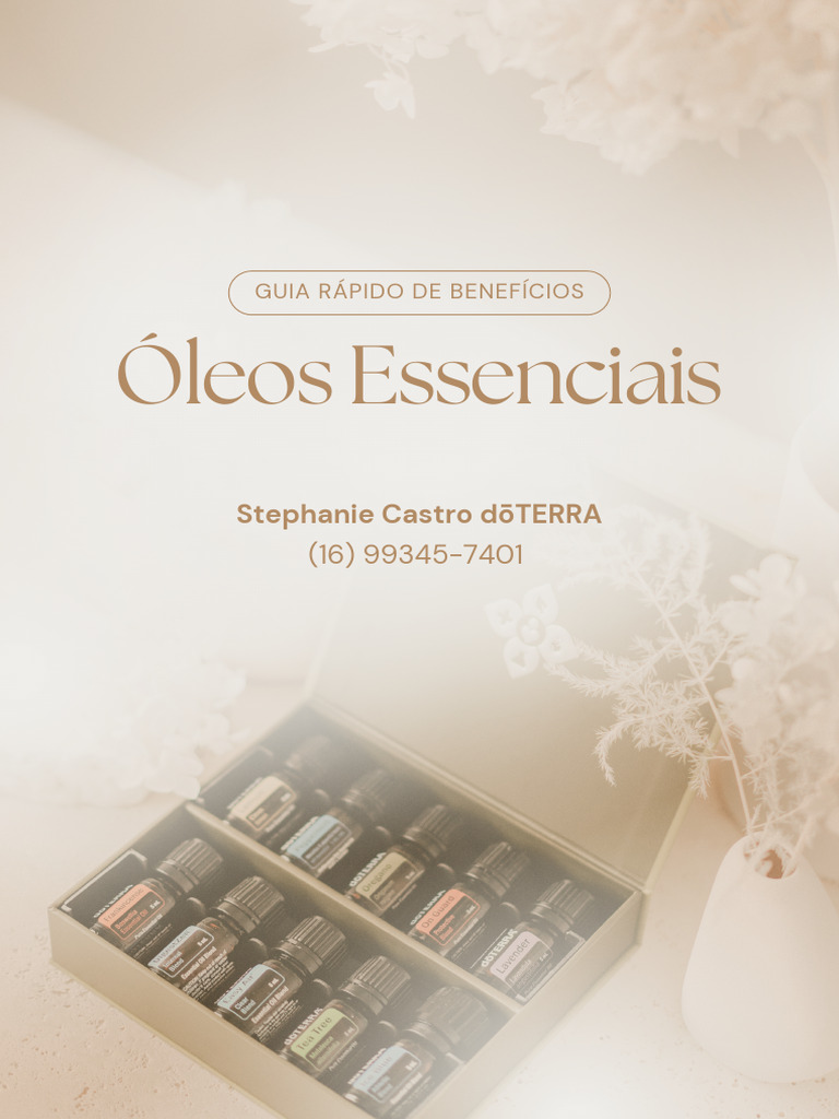 Guia Rápido para Imprimir I Óleos Dos Kits | PDF
