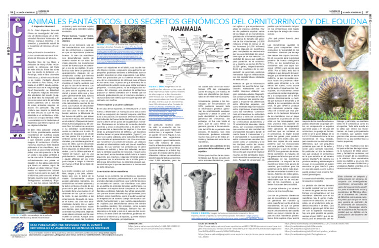 XENHSd 31 B OOhp BKM RGP Eqf As PEu 5 Nio WX1 W2 PN 0 K | PDF ...