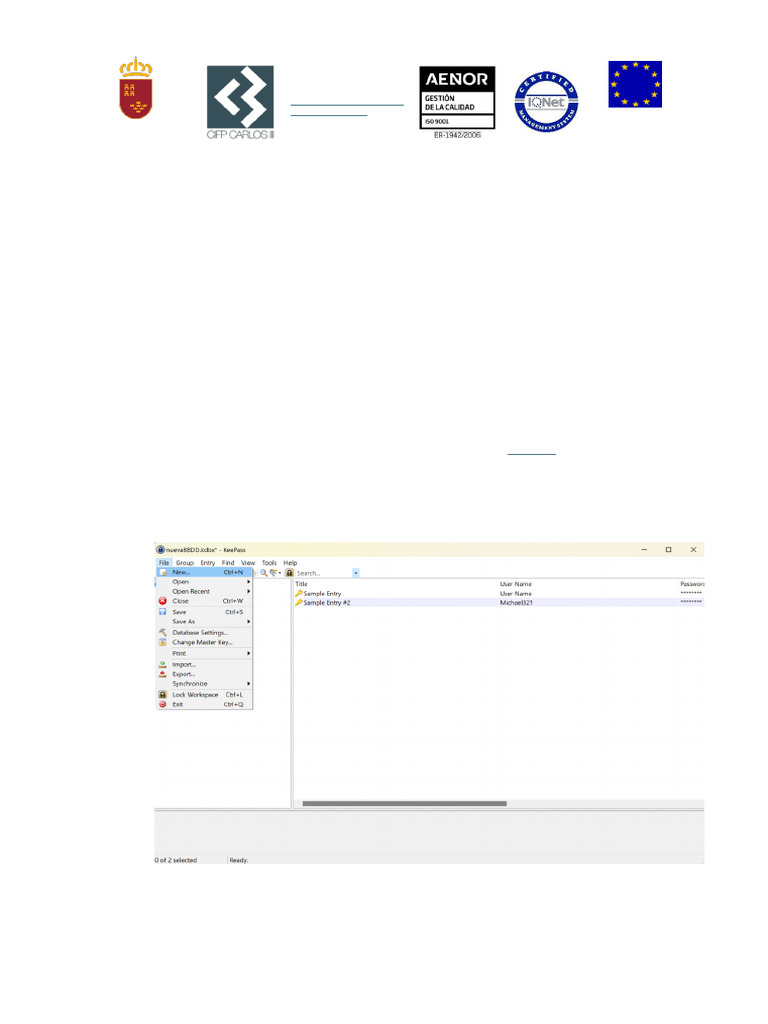 Practica Keepass | PDF | Contraseña | Archivo de computadora