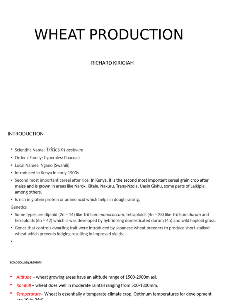 Wheat Production | PDF | Wheat | Plants