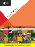 Matasano | PDF | Arboles | manzana