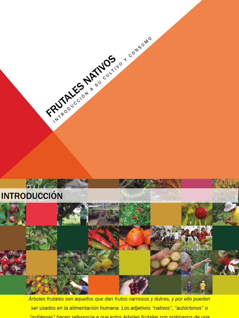 Árboles Frutales Nativos: Guía Completa | PDF | Plantas | Botánica