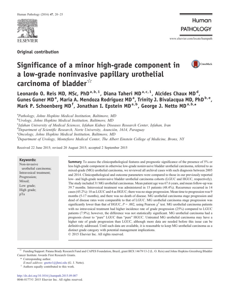 Reis. 5% High Grade. Human Pathology. 2016 | PDF | Carcinoma | Cancer