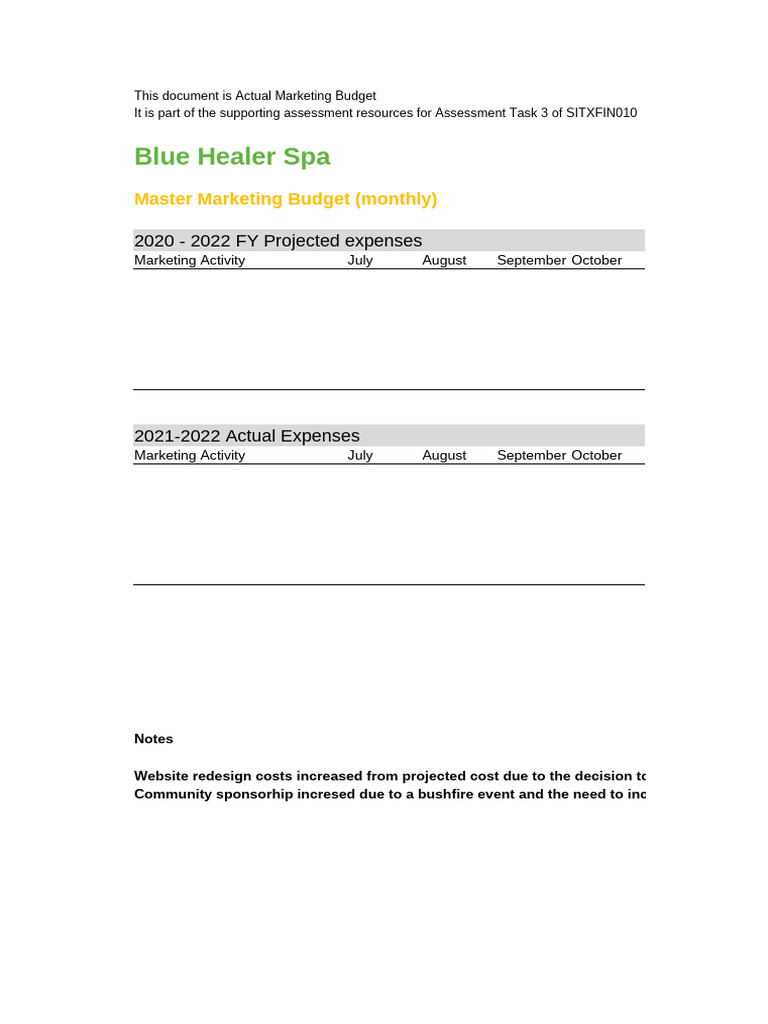 Blue Healer Spa Marketing Expenditure Report | PDF