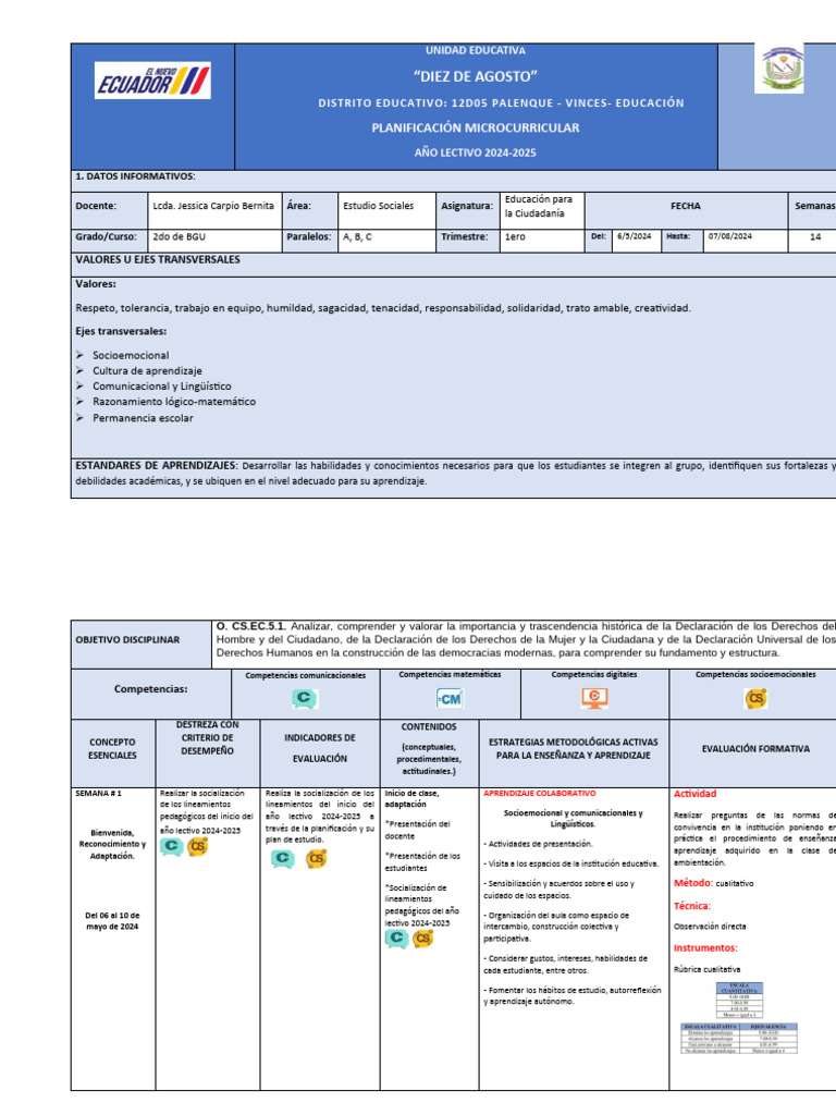 PLANIFICACION MICRO CURRICULAR 2024-2025 SEGUNDO | PDF | Evaluación | Aprendizaje