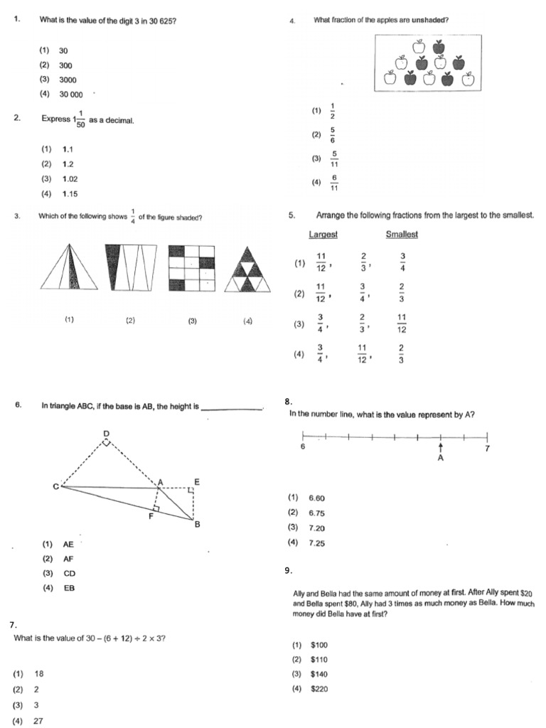 P5 WA Practice 1 | PDF