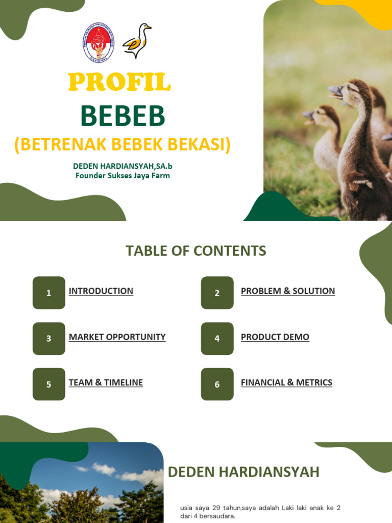 BEBEB REV I | PDF