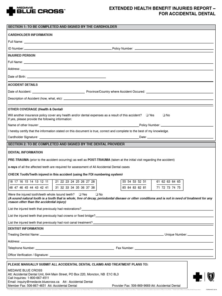 FORM 991english Editable Savable 200601 092946 | PDF | Dentistry ...