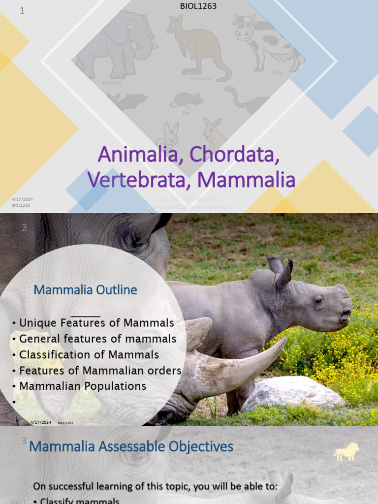 BIOL1263 16 Chordata Vertebrata Mammalia 2024 | PDF | Monkey | Mammals