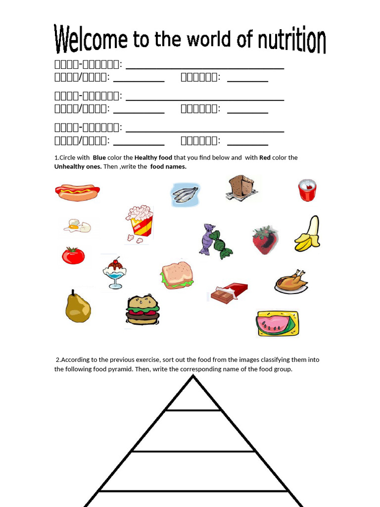 Food Pyramid Healthy and Unhealthy Food - 29784 | PDF
