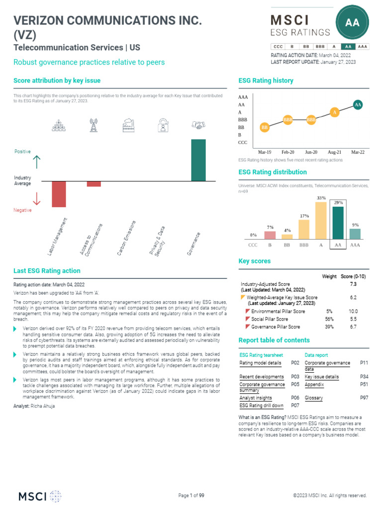 Esgratings Report | PDF | Governance | Verizon Communications