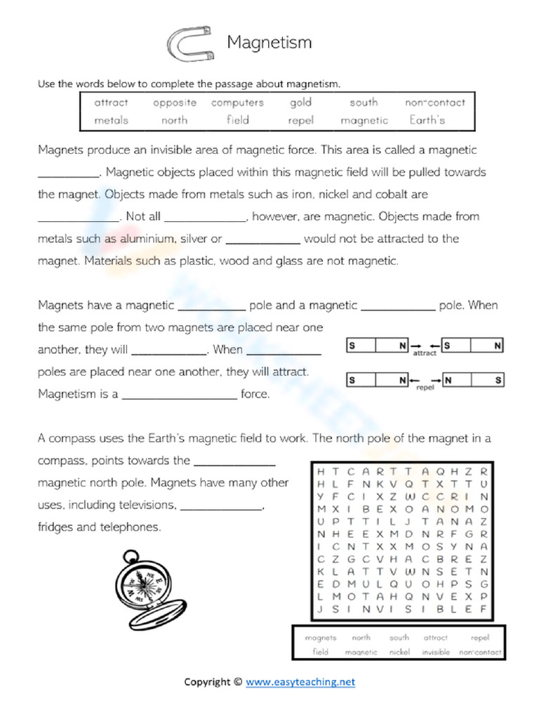 Force and Magnet Worksheet | PDF