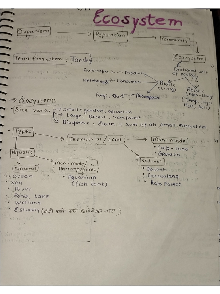 Ecosystem | PDF
