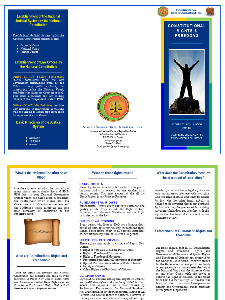 Constitutional Rights and Freedoms | PDF | Human Rights | Political ...