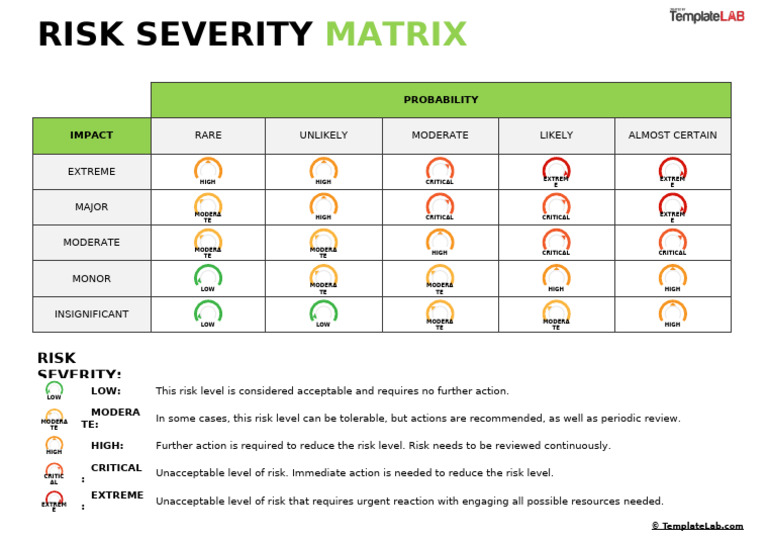 Risk Severity Matrix Template | PDF | Risk | Mathematical And ...