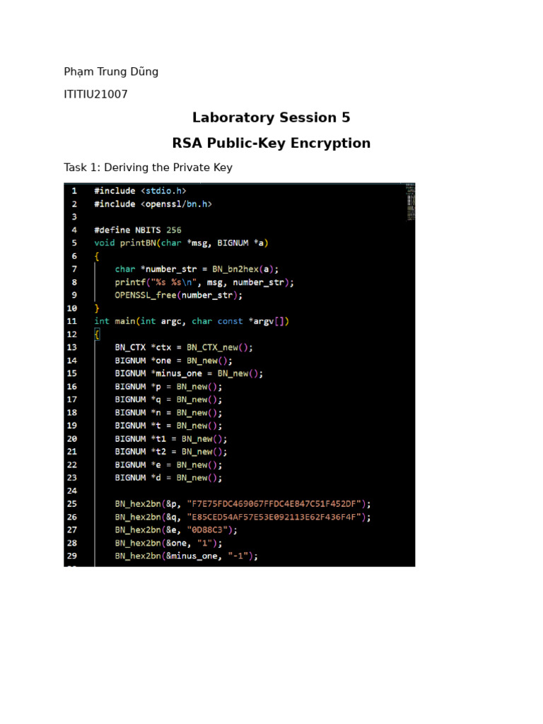 PhamTrungDung ITITIU21007 l5 | PDF