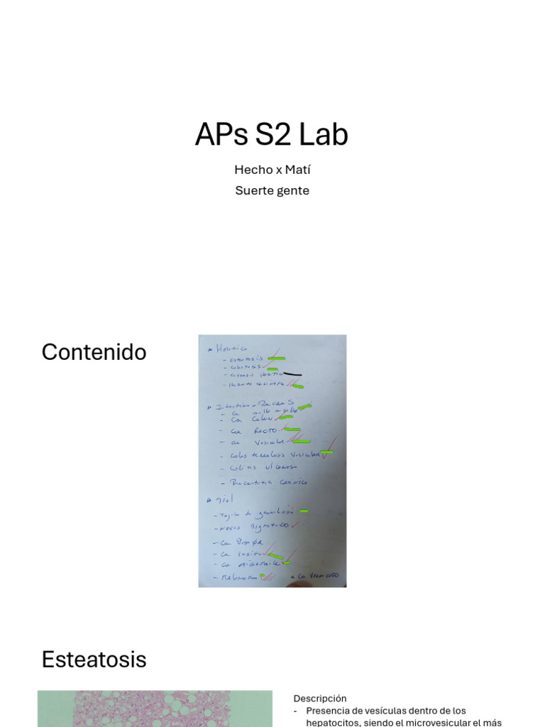 APs S2 Lab | PDF | Epidermis | Enfermedades y trastornos