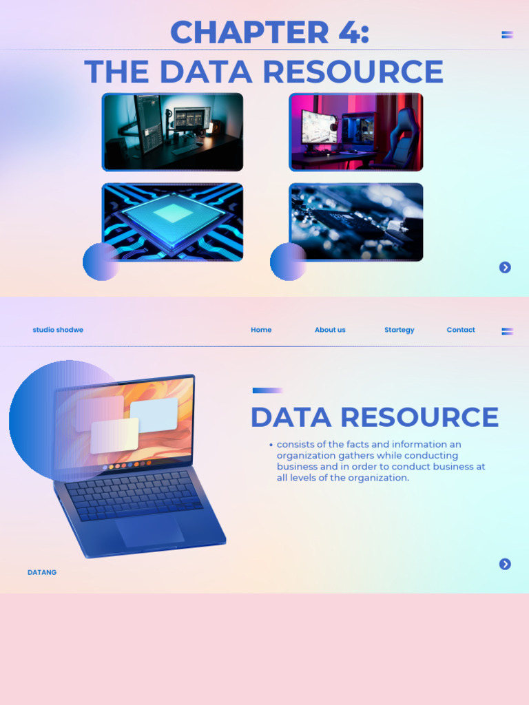GROUP 3 CHAPTER 4- THE DATA RESOURCE (2) | PDF | Databases | Data Model