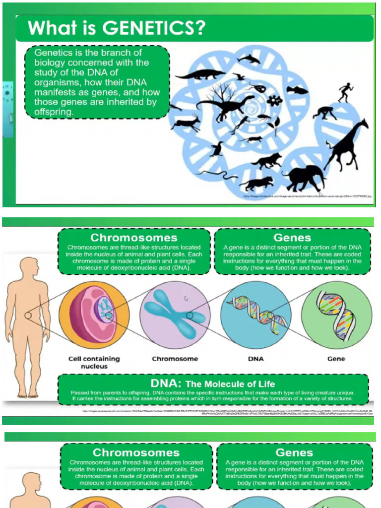Genetic Engineering Techniques Overview | PDF