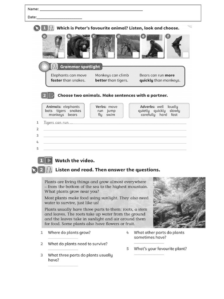 Children Activity 5 | PDF