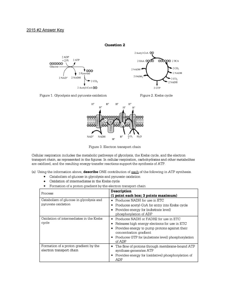 AP BIO Unit 3 Released FRQs 2 | PDF