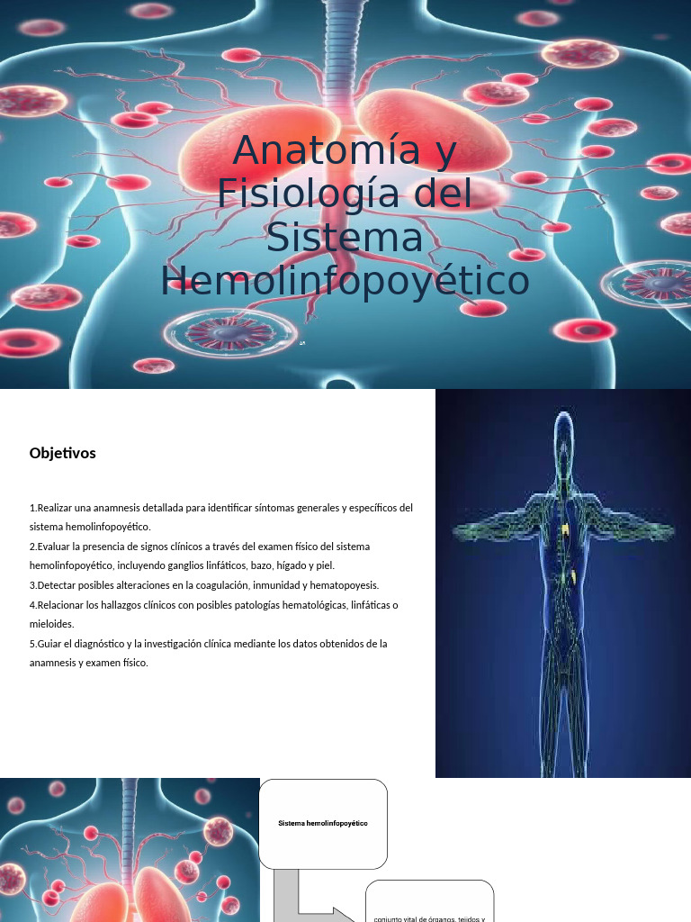 Semio II - Todo Taller.2 | PDF | Leucemia | Sangre
