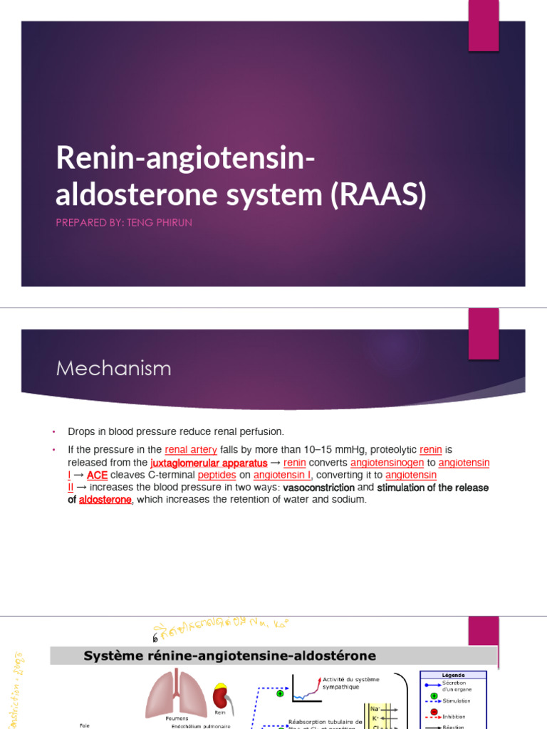 SRAA | PDF