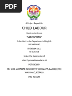 English Project | PDF | Child Labour | Poverty