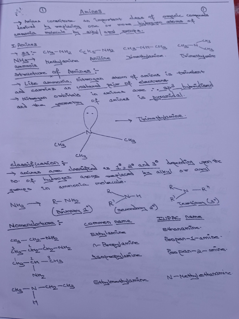 Amines-1 | PDF
