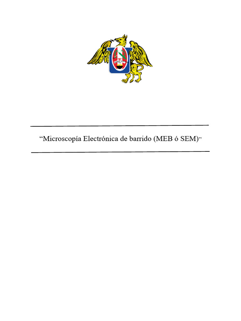 Microscopía Electrónica de Barrido (MEB Ó SEM | PDF | Microscópio ...