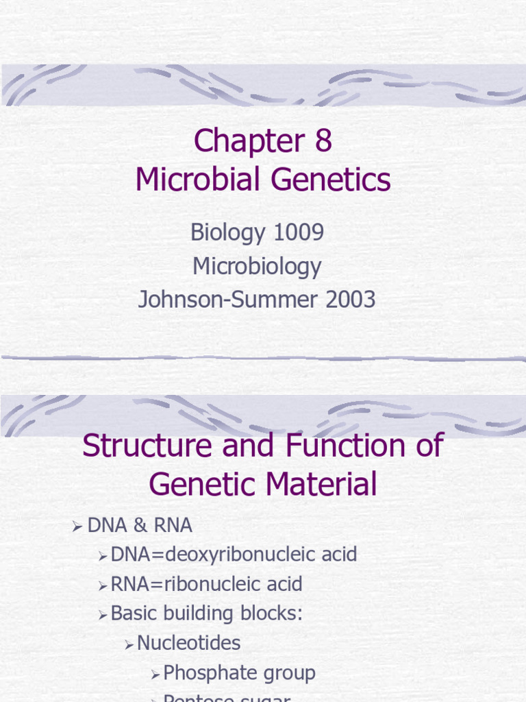 Basic Structure and Replication 3RD Year | PDF | Genetic Code | Dna