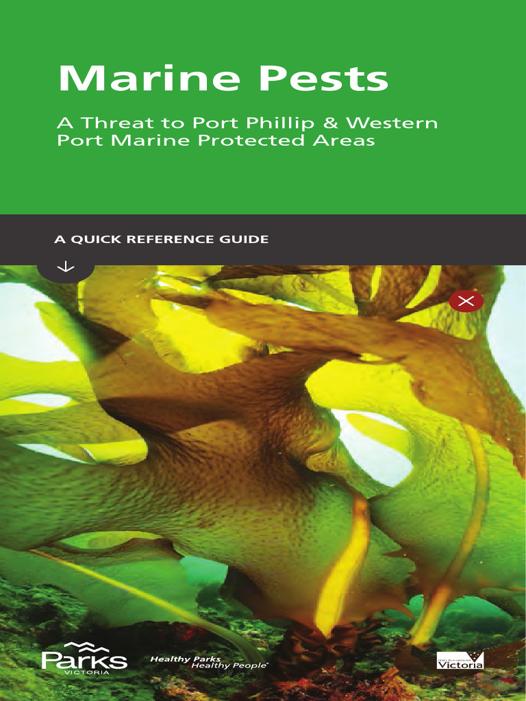 Parks Victoria Marine Pests | PDF | Oyster