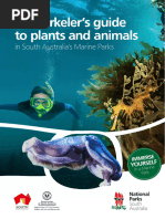 ORI Fish Fact Sheet Geelbek | PDF | Spawn (Biology) | Fish