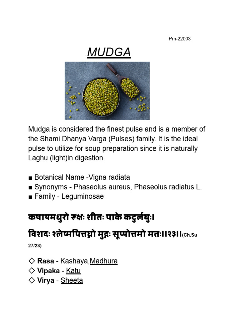 MUDGA-2 | PDF