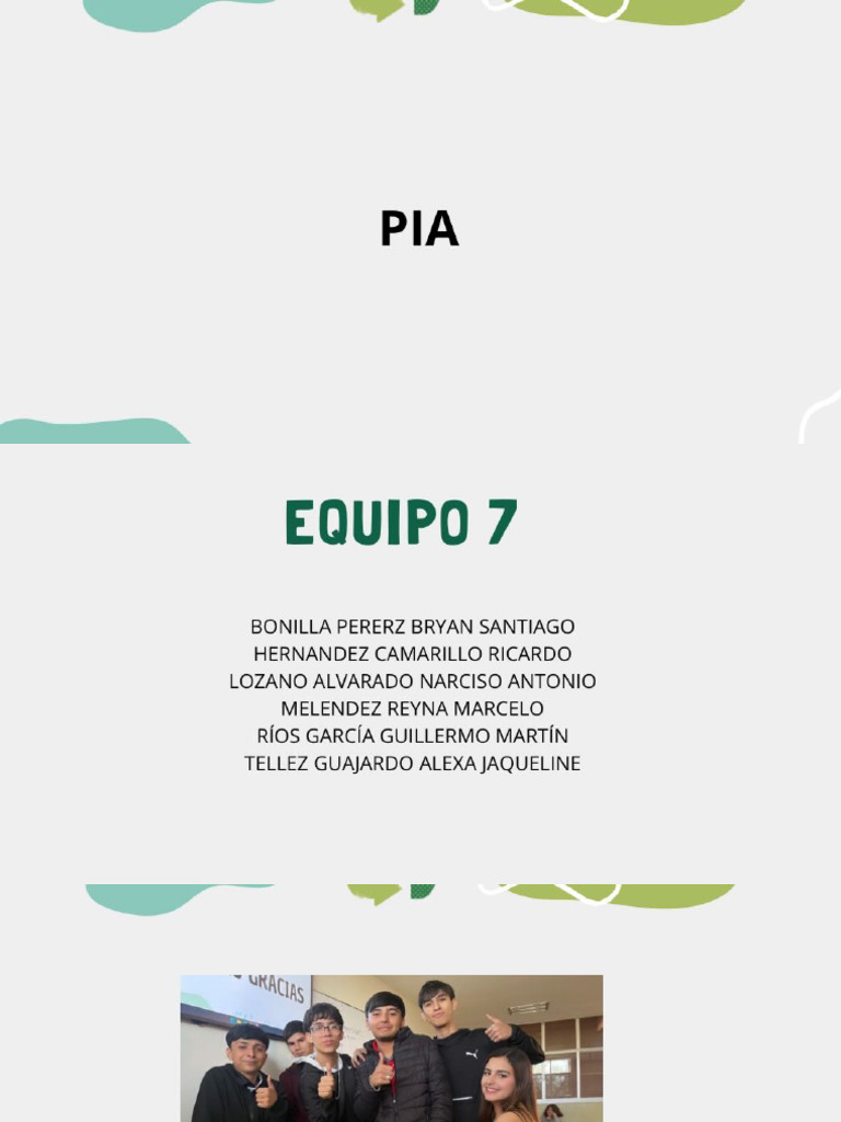 Pia | PDF