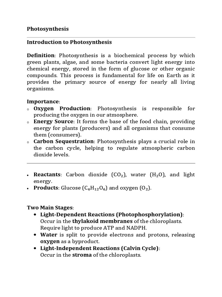 Understanding Photosynthesis Process | PDF | Photosynthesis | Chlorophyll
