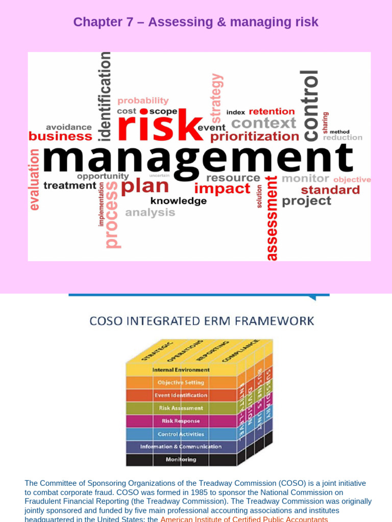 C7 - Assessing & Managing Risk | PDF