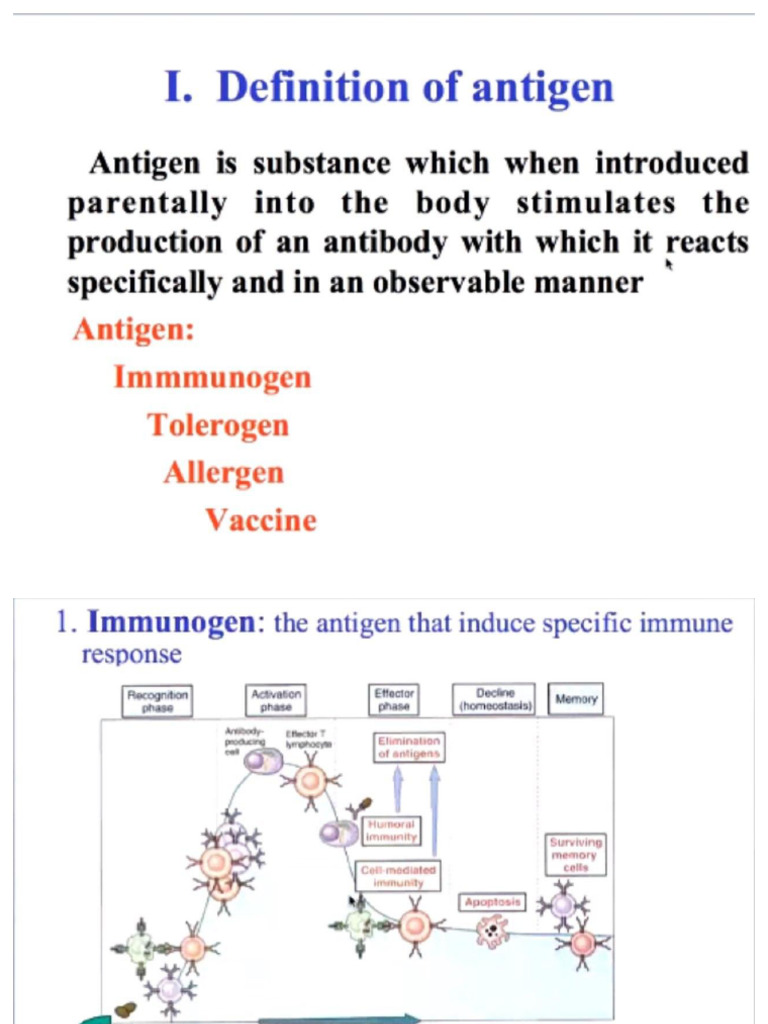 Antigens | PDF