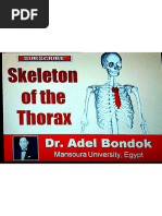 Vertebral Levels and Landmarks | PDF