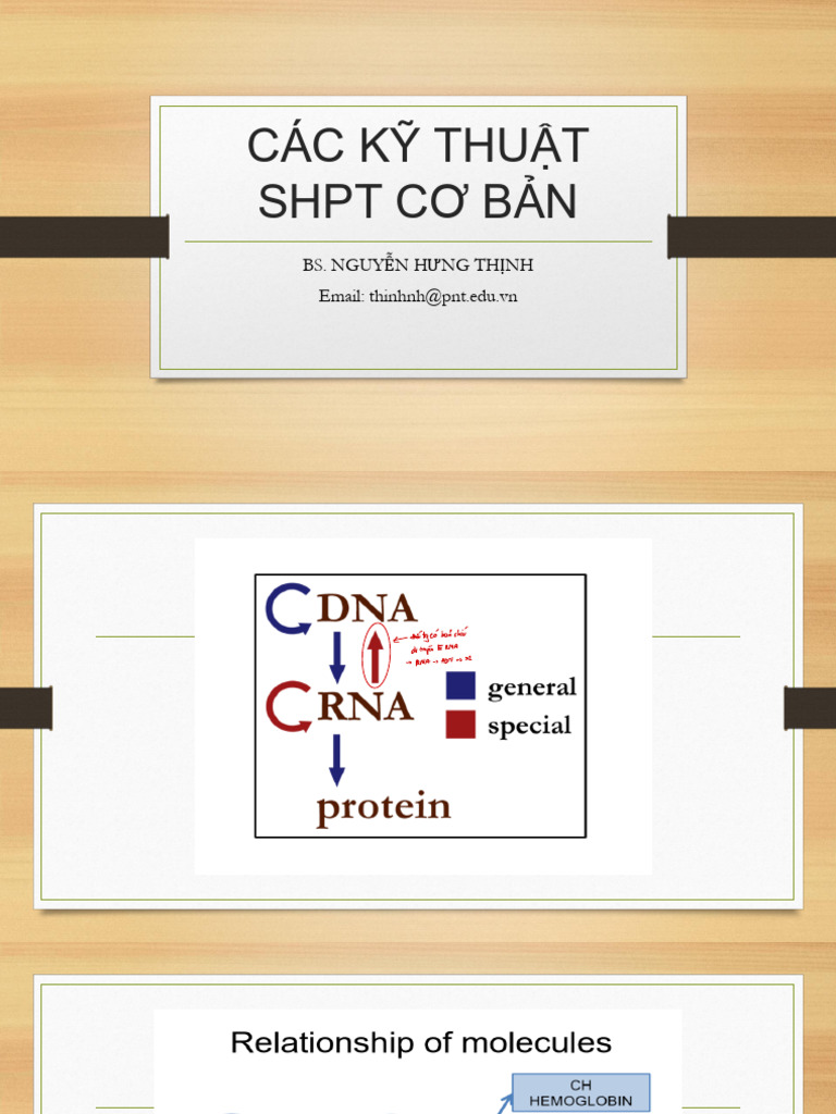 SHPT Buổi 3 HSLS | PDF