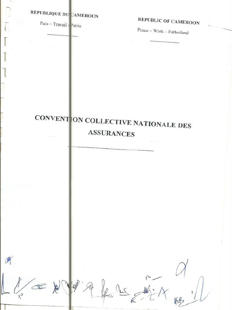 CCN Assurances | PDF